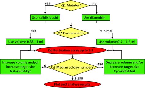 Measuring Microbial Mutation Rates With The Fluctuation Assay