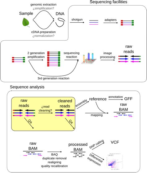 Read QA And Cleaning Bioinformatics At COMAV 0 1 Documentation