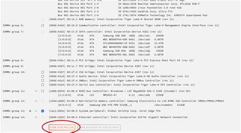 pcie passtrough none available vm engine kvm unraid