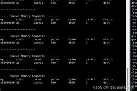 【linux】共享内存(超详细!)linux 共享内存 Csdn博客 【linux】共享内存(超详细!)linux 共享内存 Csdn博客