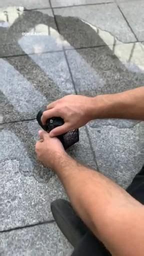 Discover 8 عکس های خفن And Text On Photo Ideas On This Pinterest Board Funny Minion Videos