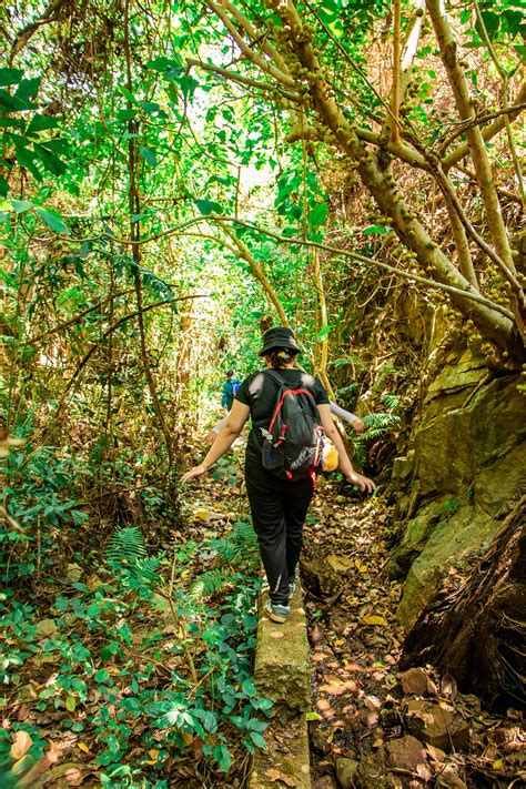 Dockerize Sveltekit With Nodejs Svelte Is The Latest And Greatest Way