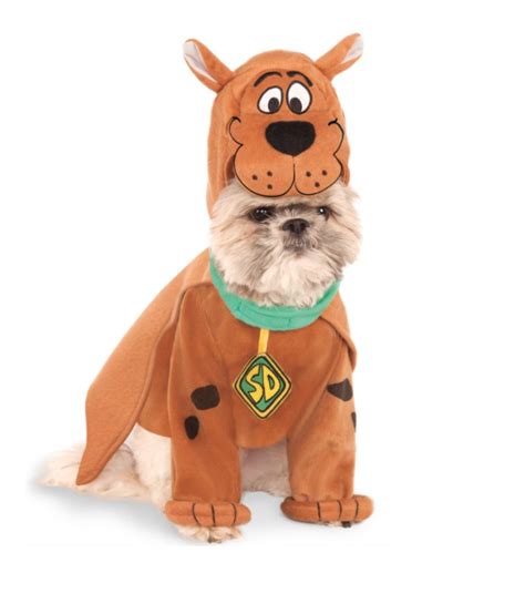 What Is Ip Spoofing Automation Step By Step