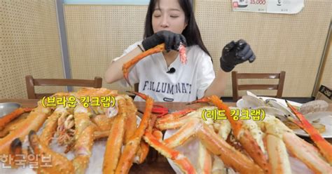 킹크랩 16인분 먹은 유튜버 쯔양 애국 먹방