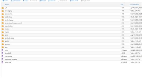 Django My Website Is Not Showing Up After Uploading My Project To