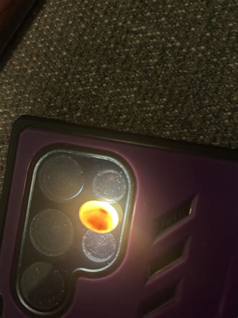 Is My Lizard Egg Still Alive Rlizards