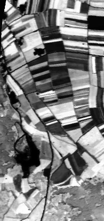 A High Res Panchromatic Image B Color Image C Ir Image And D Download Scientific