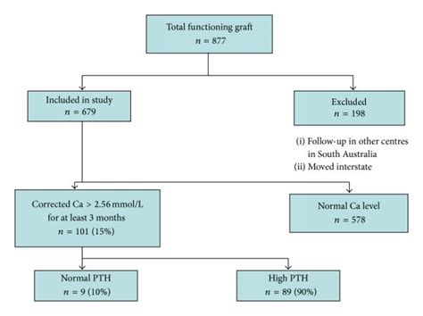 Flowchart Showing Prevalence Of Postrenal Transplant Hypercalcaemia And Download Scientific