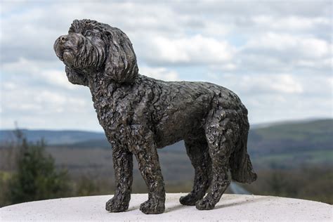 Bronze Cockapoo Sculpture By Tanya Russell Cockapoo Statue