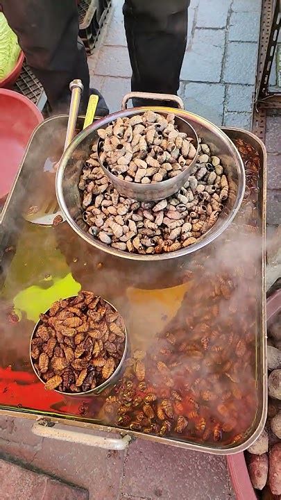 오일장 소라 번데기 소라 번데기 Youtube