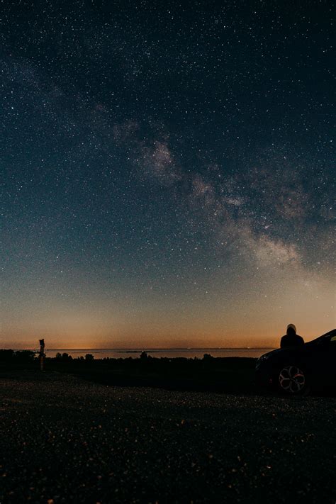 나무 로우앵글 샷 맑은 하늘 밤 별똥별 수직 쐈어 숲 자연 점성학 천문학에 관한 무료 스톡 사진
