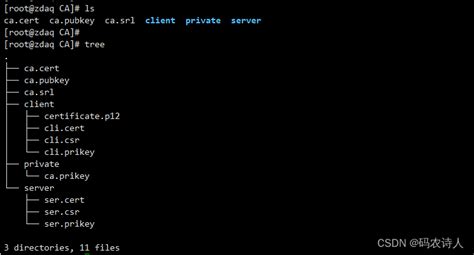 Nginx实现tcp代理并支持tls加密实验nginx Tls Csdn博客