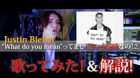 【歌って解説】what Do You Mean Justin Bieber はマジで「どういう意味？」な歌詞だった？！ww Youtube