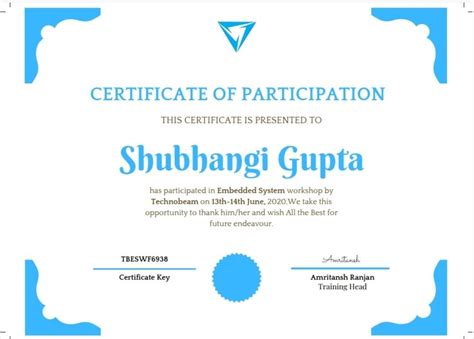 shubhangi gupta on linkedin technobeam embedded system