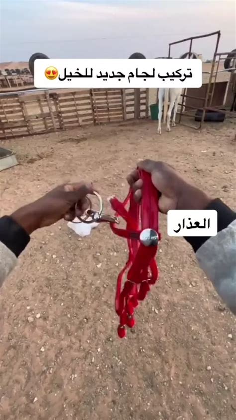 صور بنات نودز اندر ايدج Discover