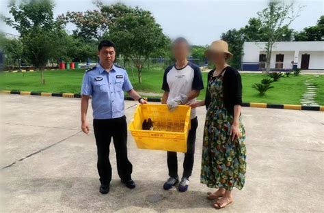 “萌”禽出没 警民携手救助国家一级保护动物