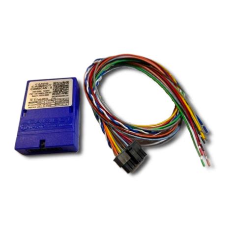 DVS Progressive Safe System Kit W Quick Connection Loom Module Parksafe Automotive Ltd