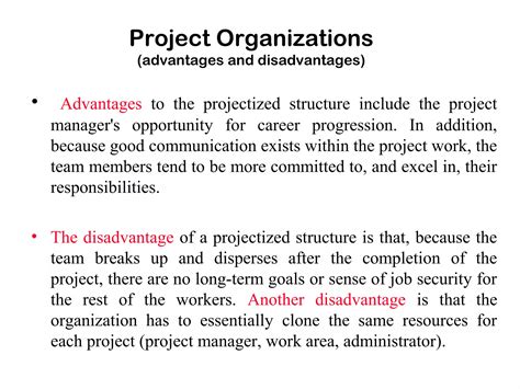 Project Organisation Structure Ppt