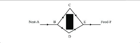 Schematic Diagram Of Ants Looking For Food Download Scientific Diagram