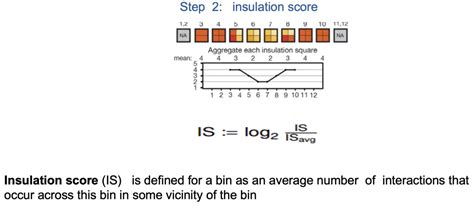 Hic数据分析 Hic数据分析 Tad分析软件—insulationscore 《三维基因组学学习笔记》 极客文档