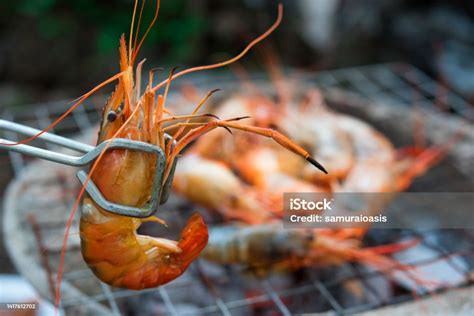 새우 구운 바베큐 해산물을 스토브에 굽고 야외 음식 숯불 난로에 구운 새우 클로즈업 고기에 대한 스톡 사진 및 기타 이미지 고기 구이 굽기 Istock