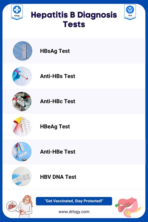 6 Accurate Hepatitis B Test Diagnosis For Peace Of Mind Drlogy