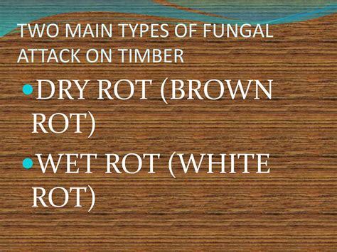 Defects In Timber Pptx