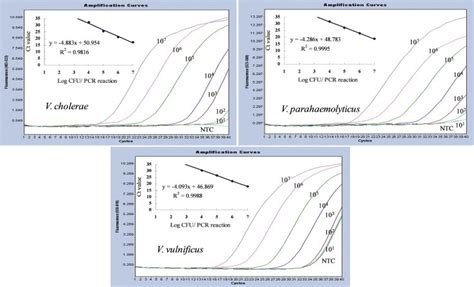 Multiplex Real Time Polymerase Chain Reaction Pcr Amplification Plots