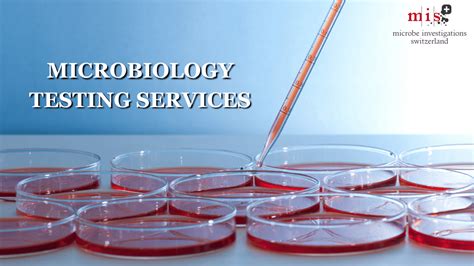 Microbiology Testing Services