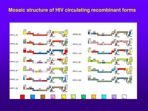 Ppt Surveillance Of Hiv Variants In Cameroon And Evaluation Of Their