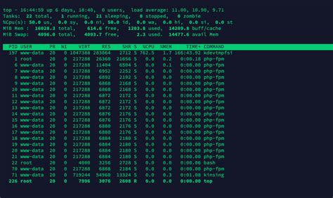 Kdevtmpfsi Linux Segmentfault