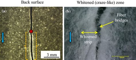 Quasi Static Crack Growth Features For F Cnp A Image Of Back Surface Download Scientific