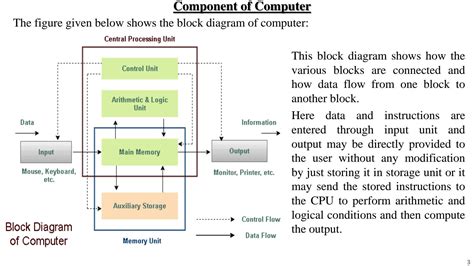 SOLUTION Input Devices Best Notes Studypool