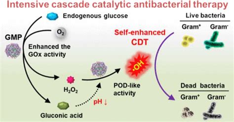 Enhancing Enzymatic Activity Of Glucose Oxidase By Metal Organic Framework Nanocarriers For