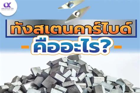 หน้าแรก แหล่งข้อมูลเครื่องมือช่าง สาระความรู้ เทคนิค แนะนำการใช้งาน เครื่องมือช่างทุกชนิด