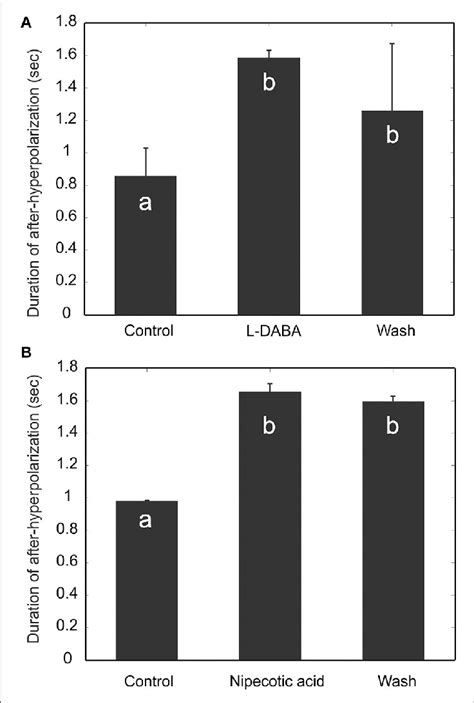 Blocking Gaba Transporters Increases The Duration Of Download Scientific Diagram