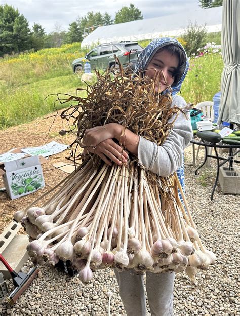 Cornucopia Project Added A New Photo Cornucopia Project