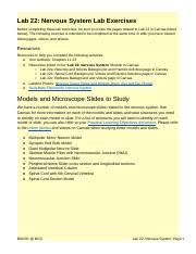 Exploring Nervous System Lab Exercises Study Resources And Course Hero