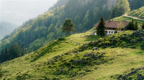 Будиночок у горах Будиночок Полонина Пейзаж Природа Ліс 6000x4002