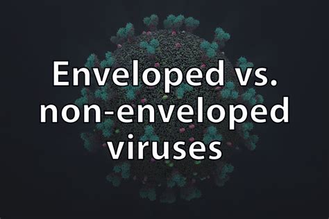 Enveloped Vs Non Enveloped Viruses Virology Research Services