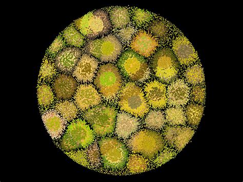 Dheeraj Komandur On Linkedin Computervision Ai Ml Deeplearning Data Datascience Dataanalyst