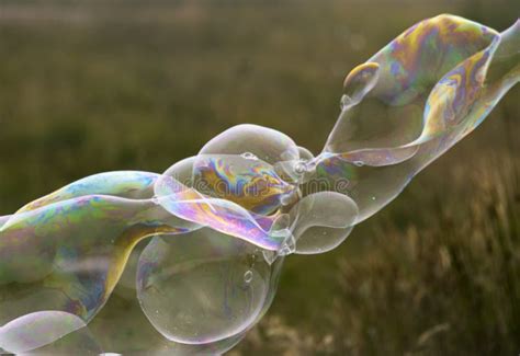 Giant Colourful Soap Bubble Stretching Across A Green Grass Background Stock Image Image Of