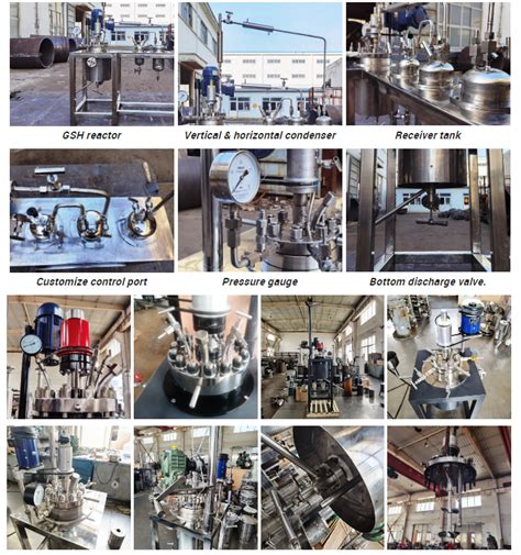 Lab Scale Esterification Polycondensation Reactors Lelsepr