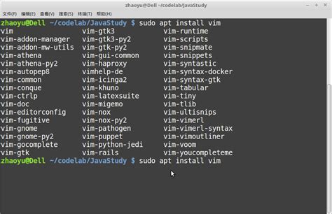 Spf13 Vim 显示neocomplete Requires Th Lua Support Csdn博客