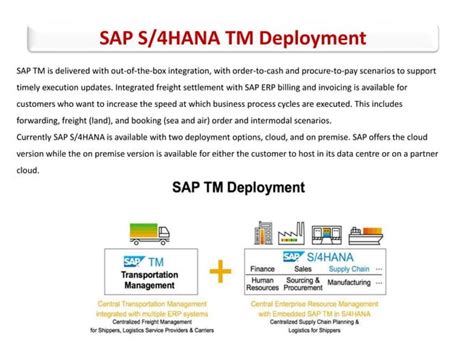 Sap S Hana Tm PPTX