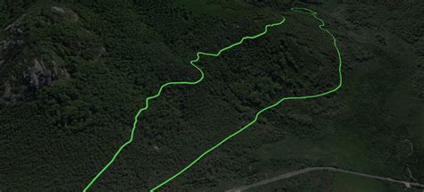 Lilly Pilly Nature Walk Victoria Australia 286 Reviews Map Alltrails