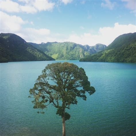 Bryan Anleu Bryananleu Twitter