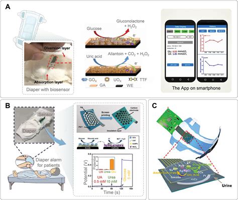 Advances In Electrochemical Sensors For Detecting Analytes In Biofluids Lee 2023 Advanced