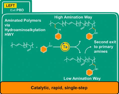 Amine Functionalized Polybutadiene Synthesis By Tunable Postpolymerization Hydroaminoalkylation