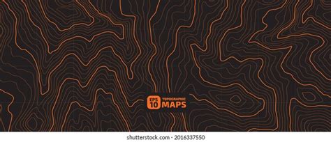 Stylized Height Topographic Map Contour Lines Stock Vector Royalty